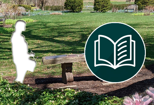 Schaffer Library launches website that collects Social Distancing ...