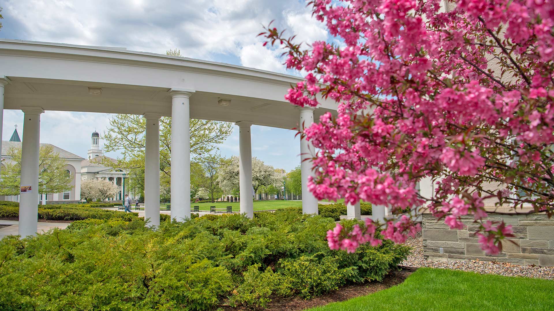 Tenure committees formed | Union College